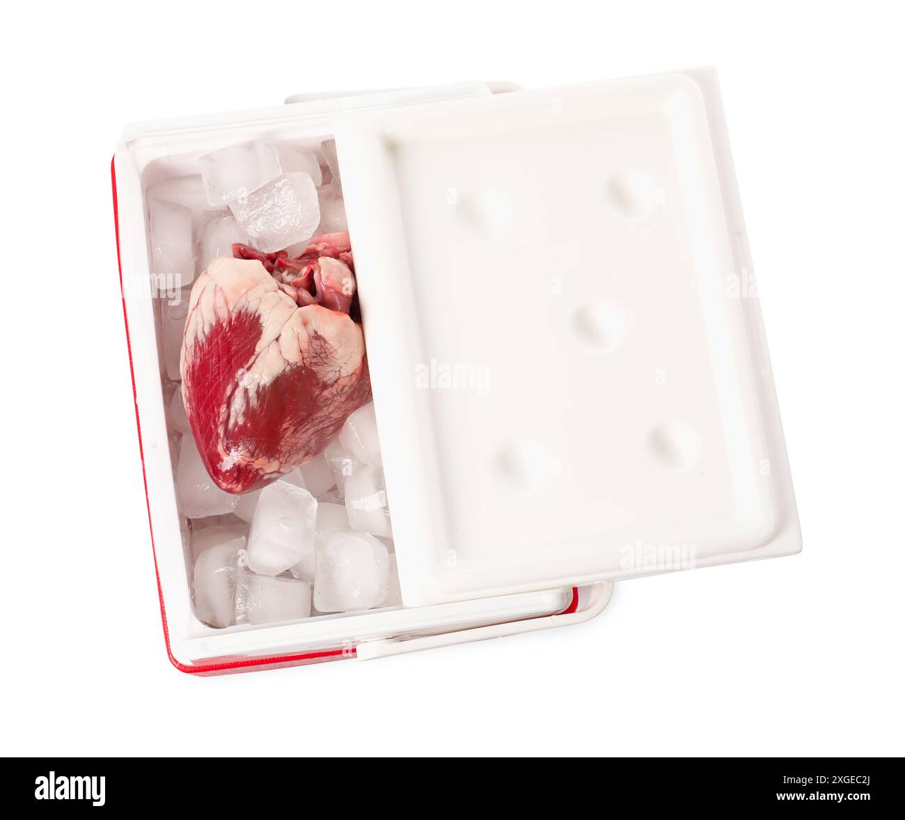 Heart with ice in fridge on white background, top view Stock Photo - Alamy