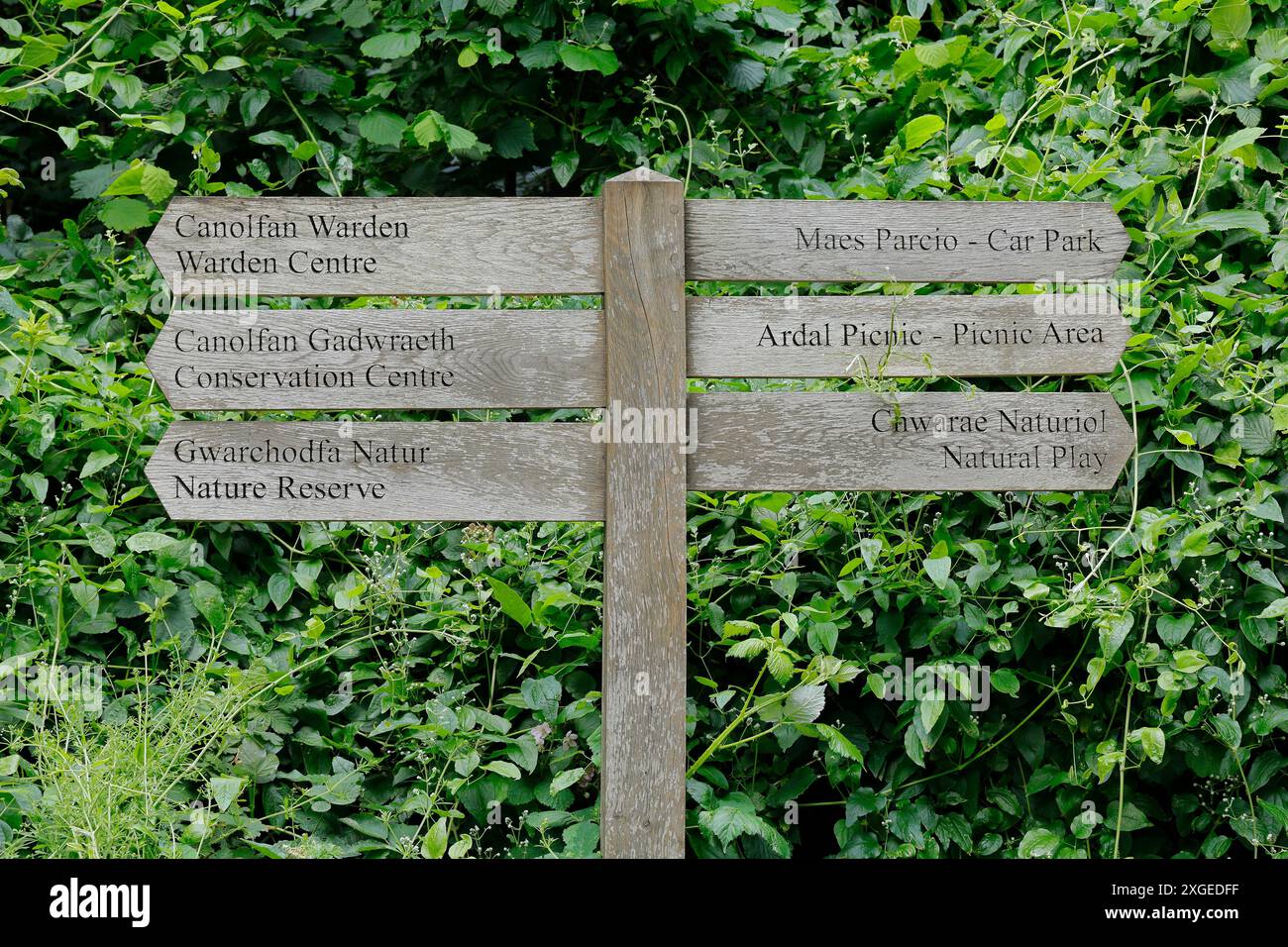 Wooden signpost at Forest Farm country park, Cardiff, South Wales ...