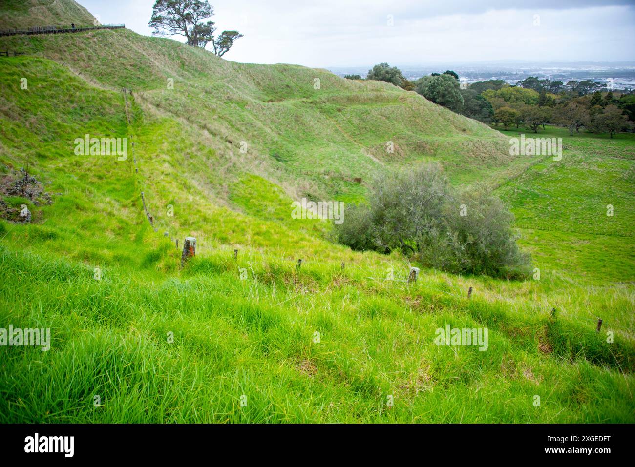One new zealand hi-res stock photography and images - Alamy