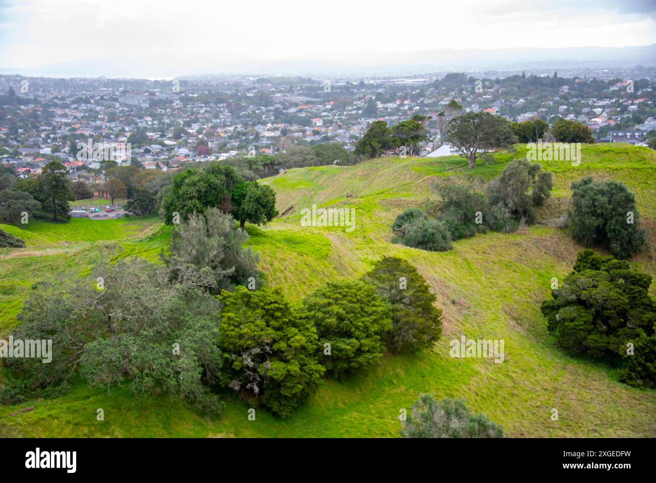 One tree hill auckland new zealand hi-res stock photography and images ...