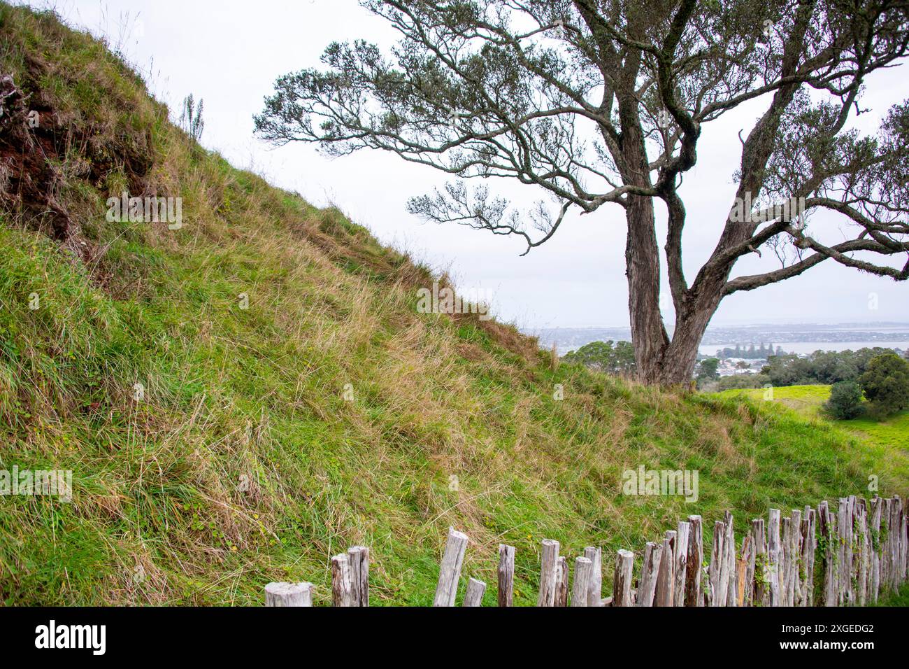 One Tree Hill - Auckland - New Zealand Stock Photo - Alamy