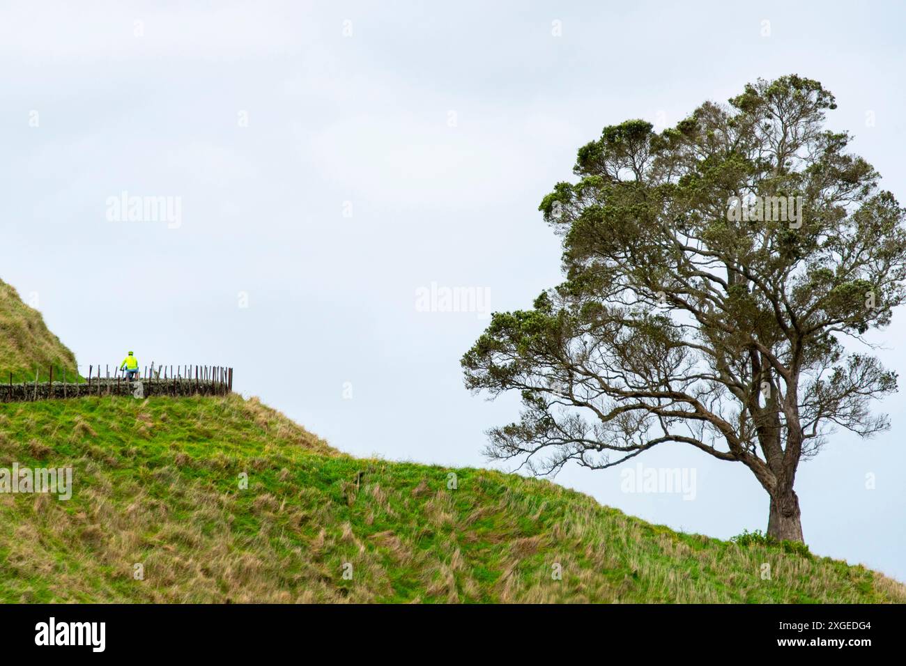 New zealand maori hill hi-res stock photography and images - Alamy