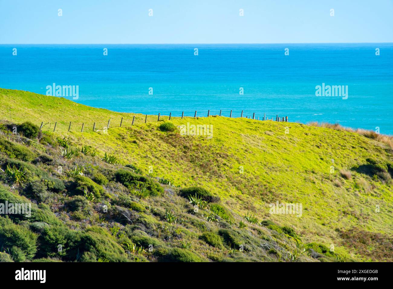 "Arai te Uru" Nature Reserve in Northland - New Zealand Stock Photo - Alamy