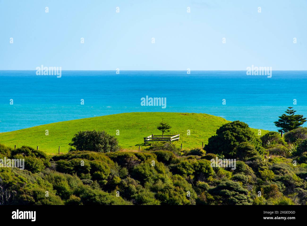"Arai te Uru" Nature Reserve in Northland - New Zealand Stock Photo - Alamy