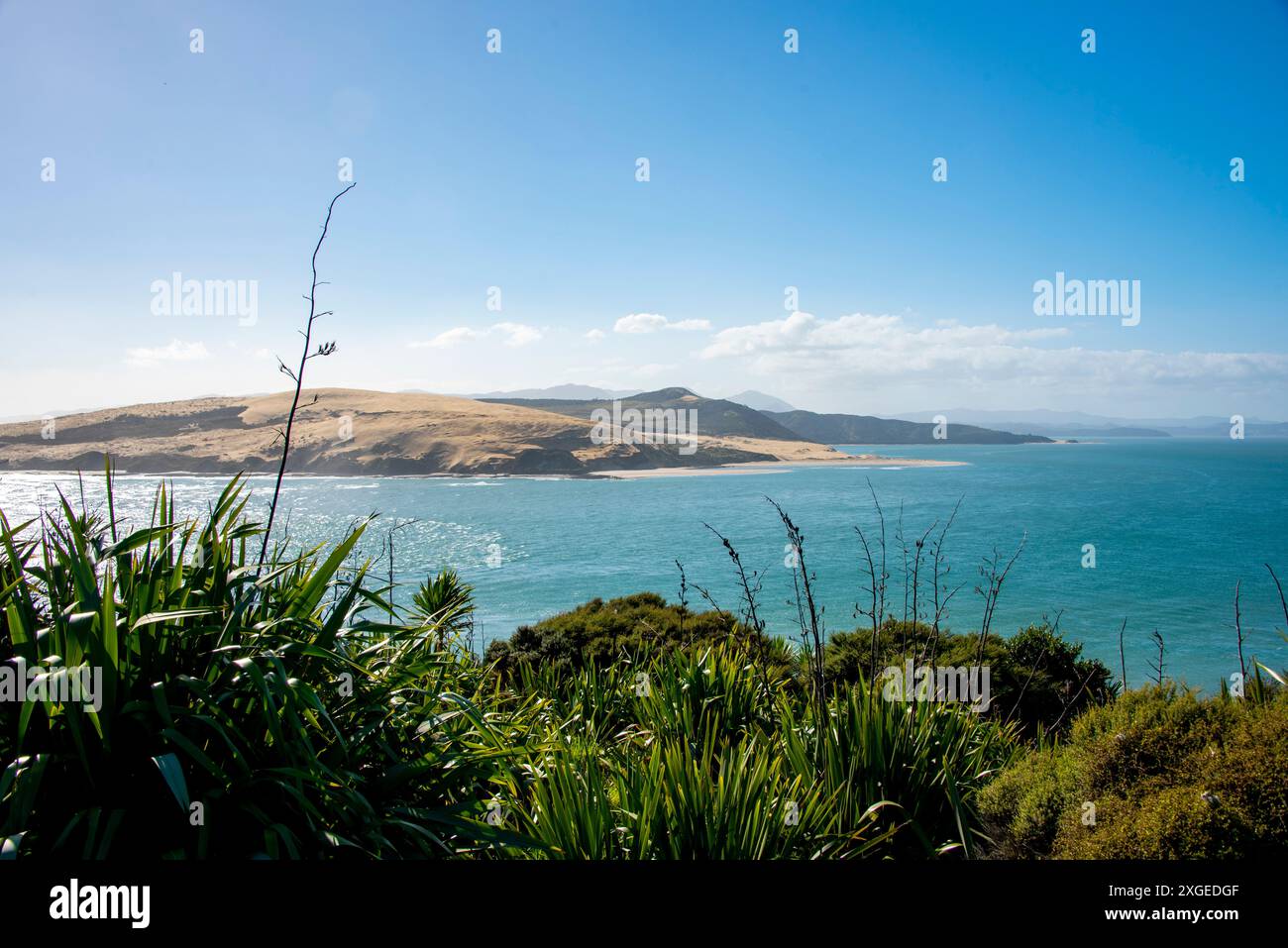 Arai te uru new zealand hi-res stock photography and images - Alamy