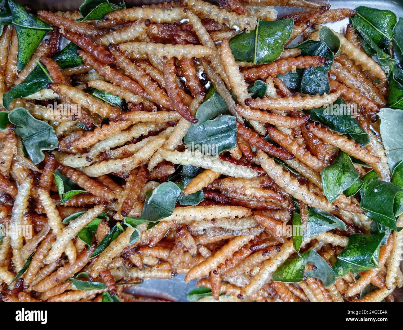 An assortment of cooked insect larva in a Thai street food market. This ...