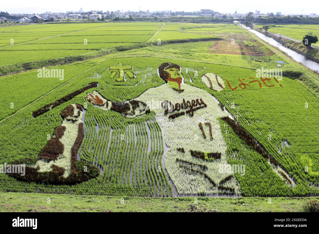 Photo taken in Oshu in the northeastern Japan prefecture of Iwate on ...