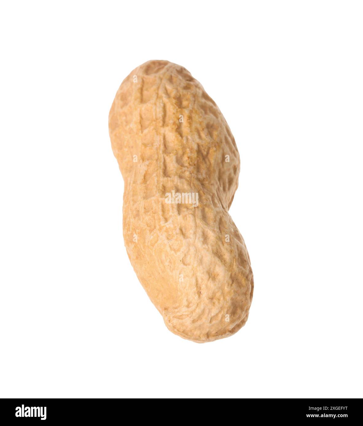 One fresh unpeeled peanut isolated on white Stock Photo - Alamy