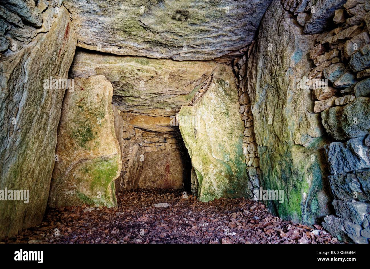 Hetty Peglers Tump aka Uley Long Barrow 5000+ year Neolithic chambered ...