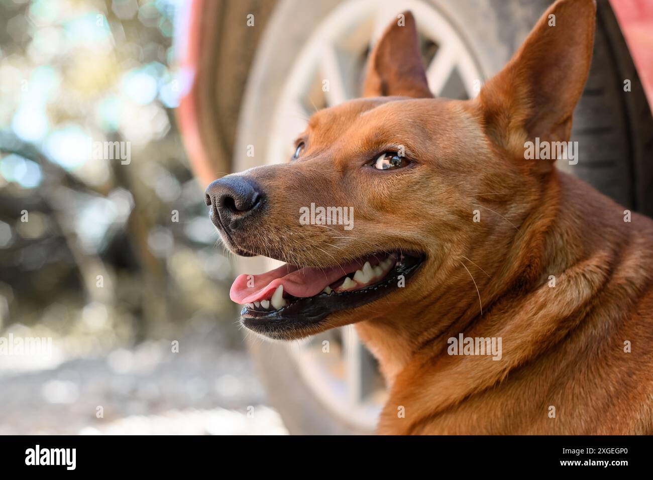 Nariz boca hi-res stock photography and images - Alamy