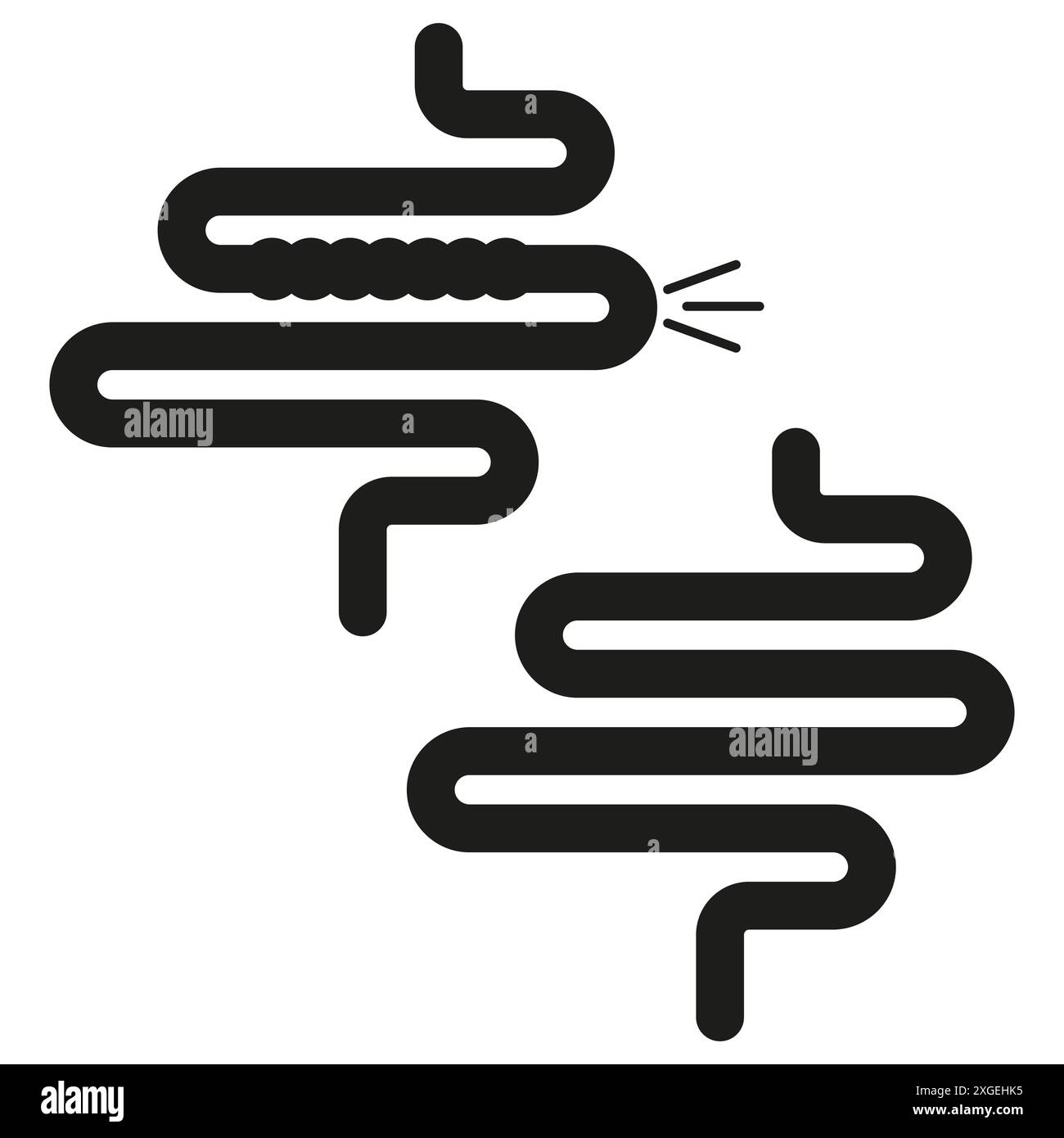 Intestine icon vector. Digestive system symbol. Black and white. Human ...