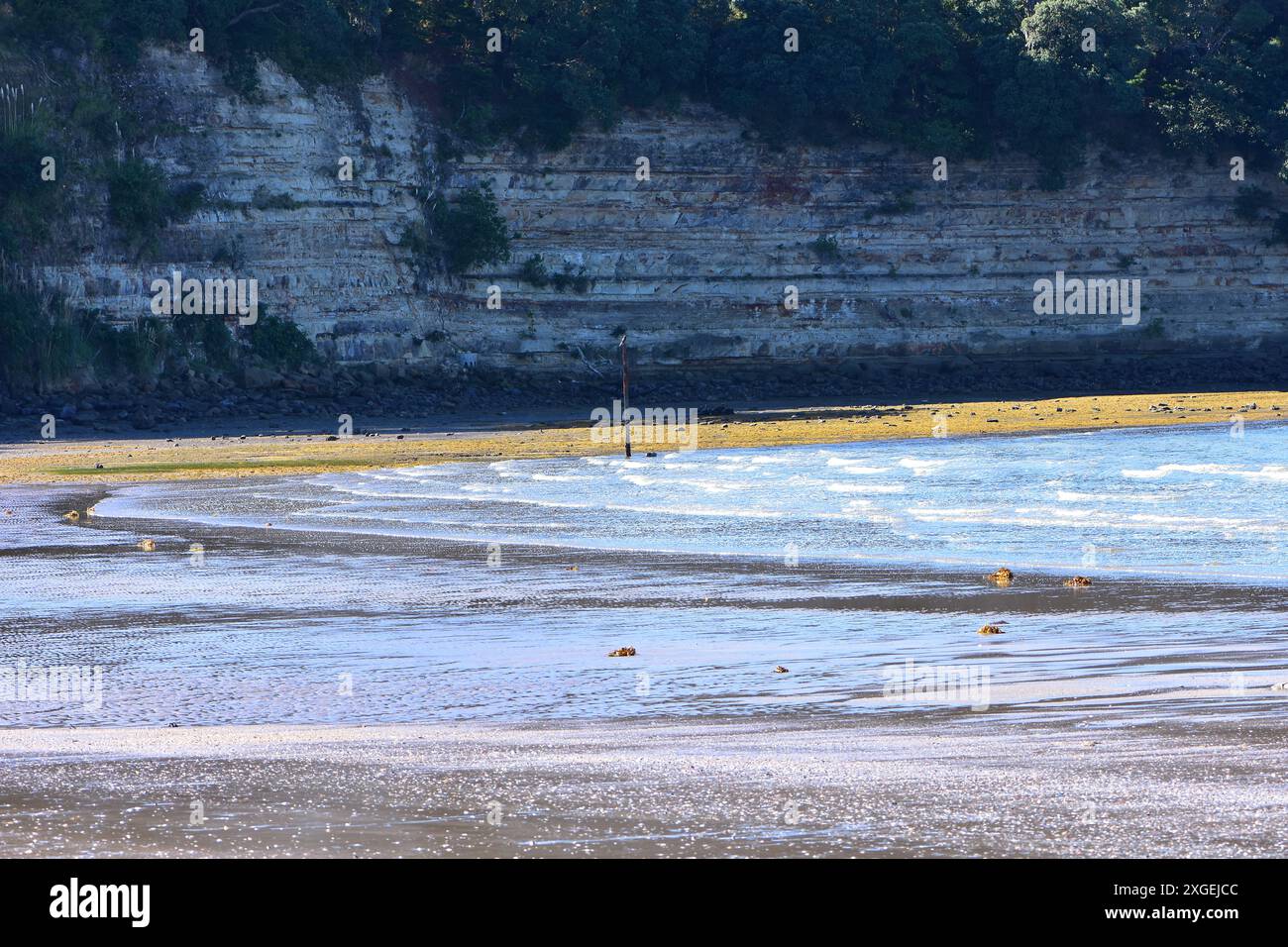 Mud flats exposed at low tide in corner of sandy beach under rocky ...
