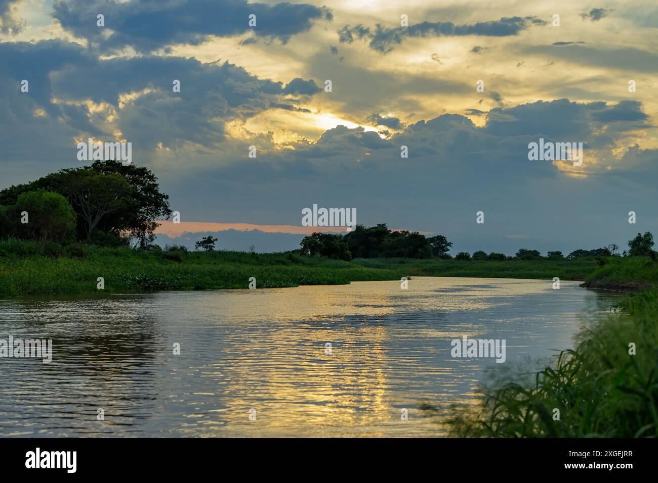 Paraná delta argentina hi-res stock photography and images - Alamy