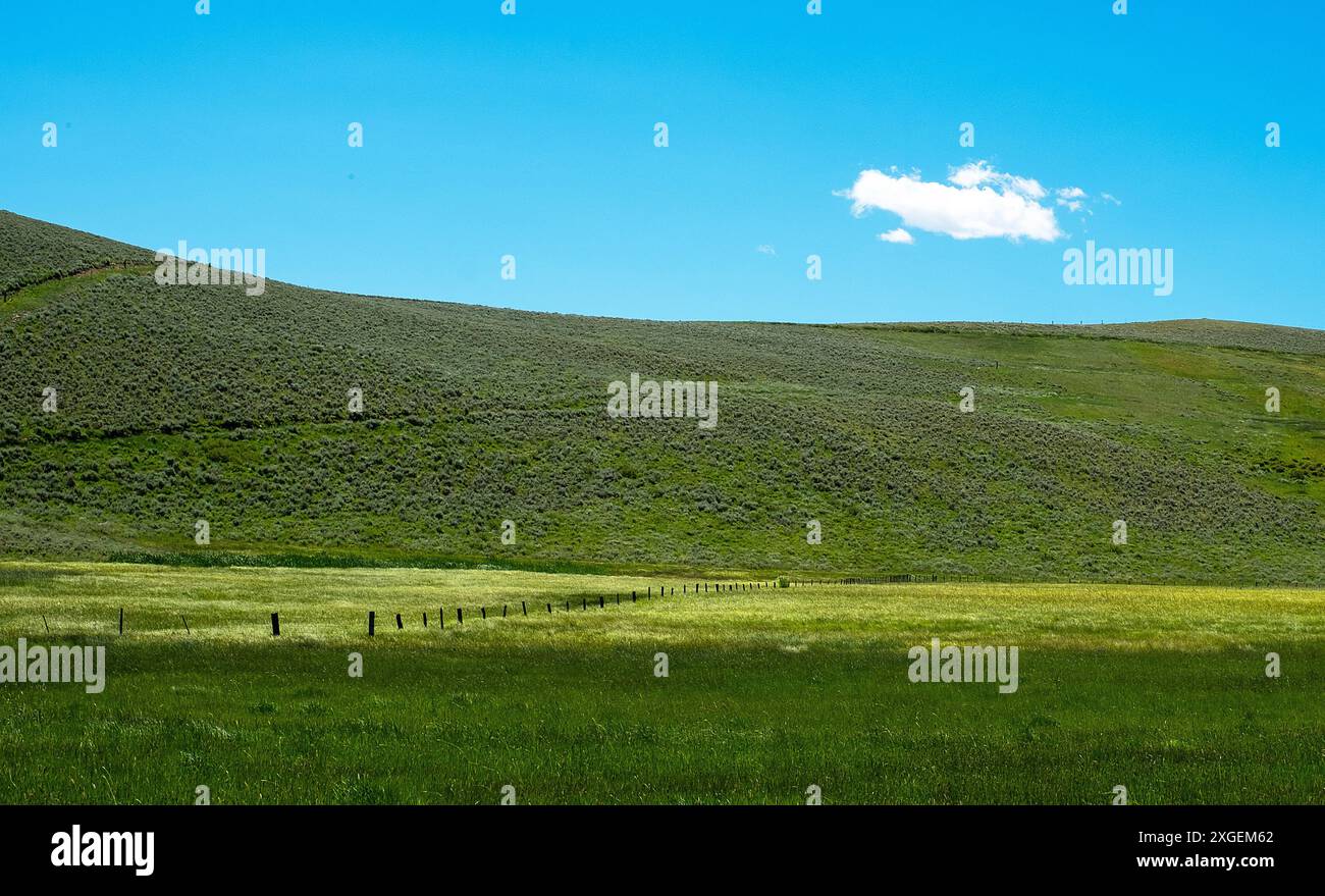 July 8, 2024: Hay fields shimmer in the mid-day sun throughout the ...