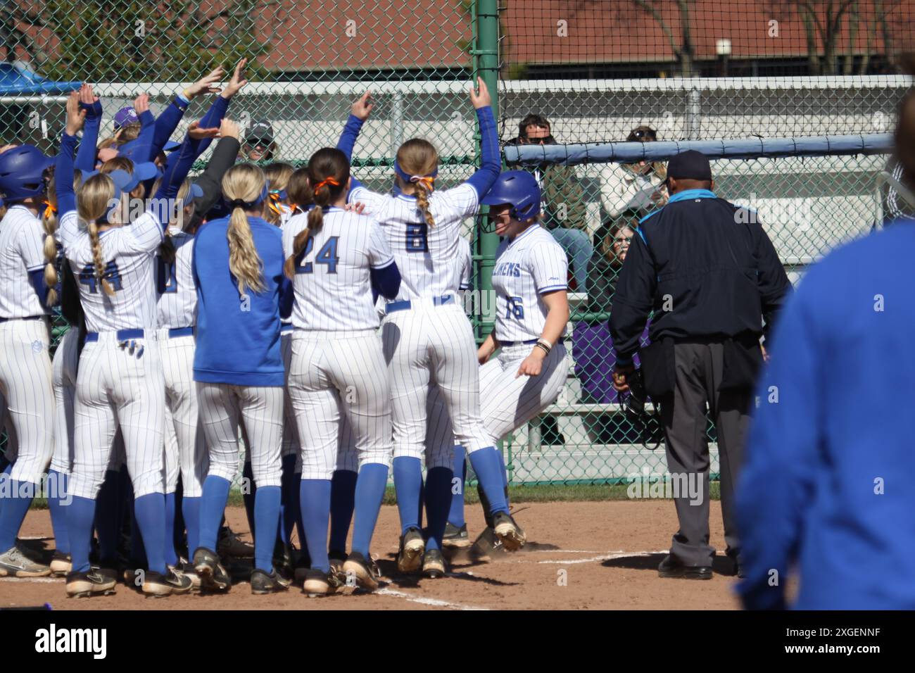 St Louis University Softball vs. St. Thomas University played at ...