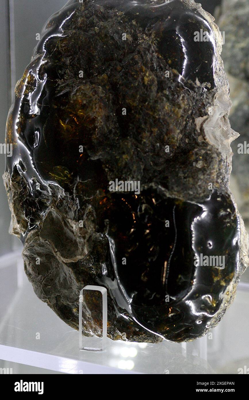 El ámbar es una resina vegetal fosilizada que proviene de la exudación ...