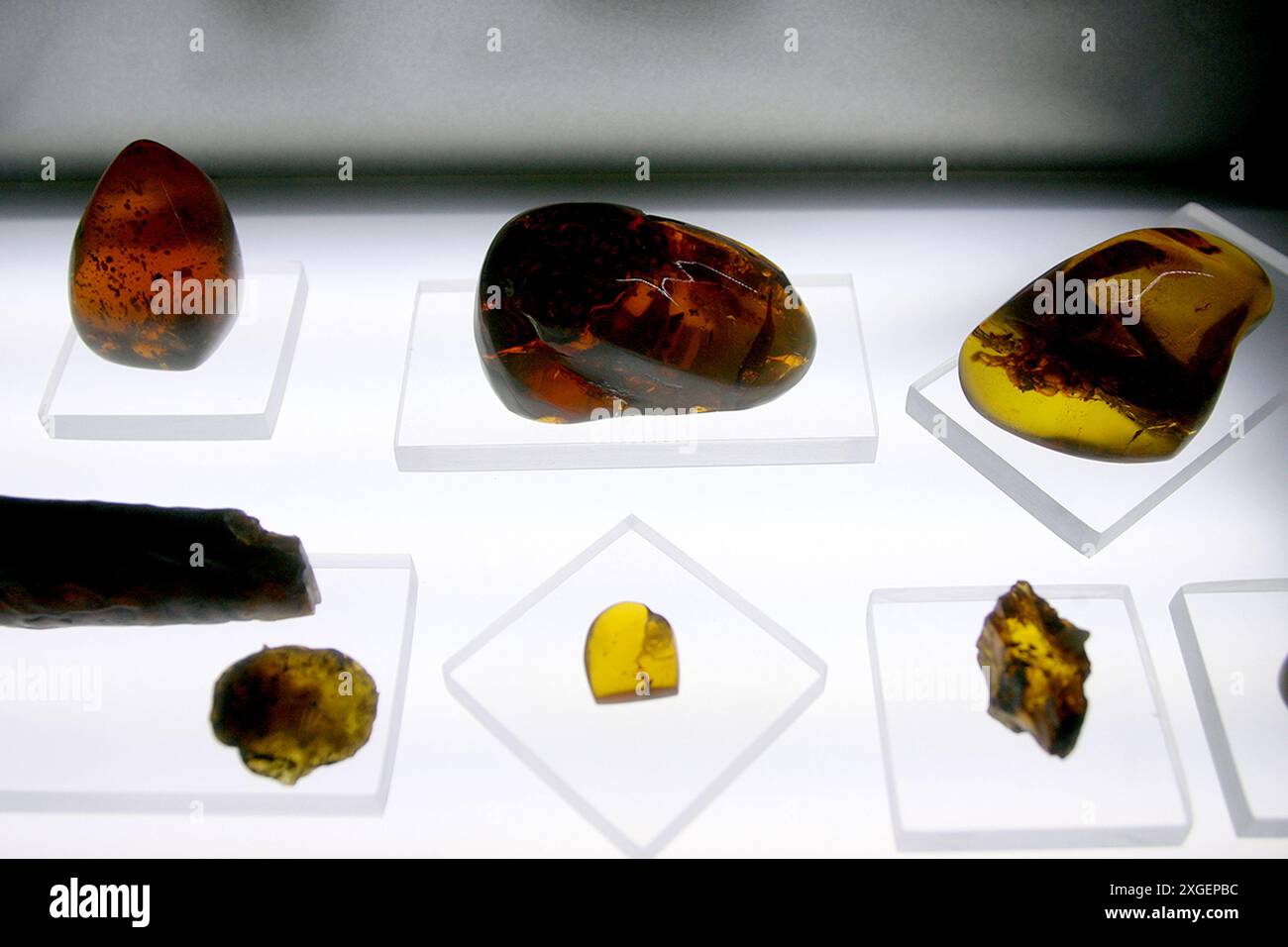El ámbar es una resina vegetal fosilizada que proviene de la exudación ...