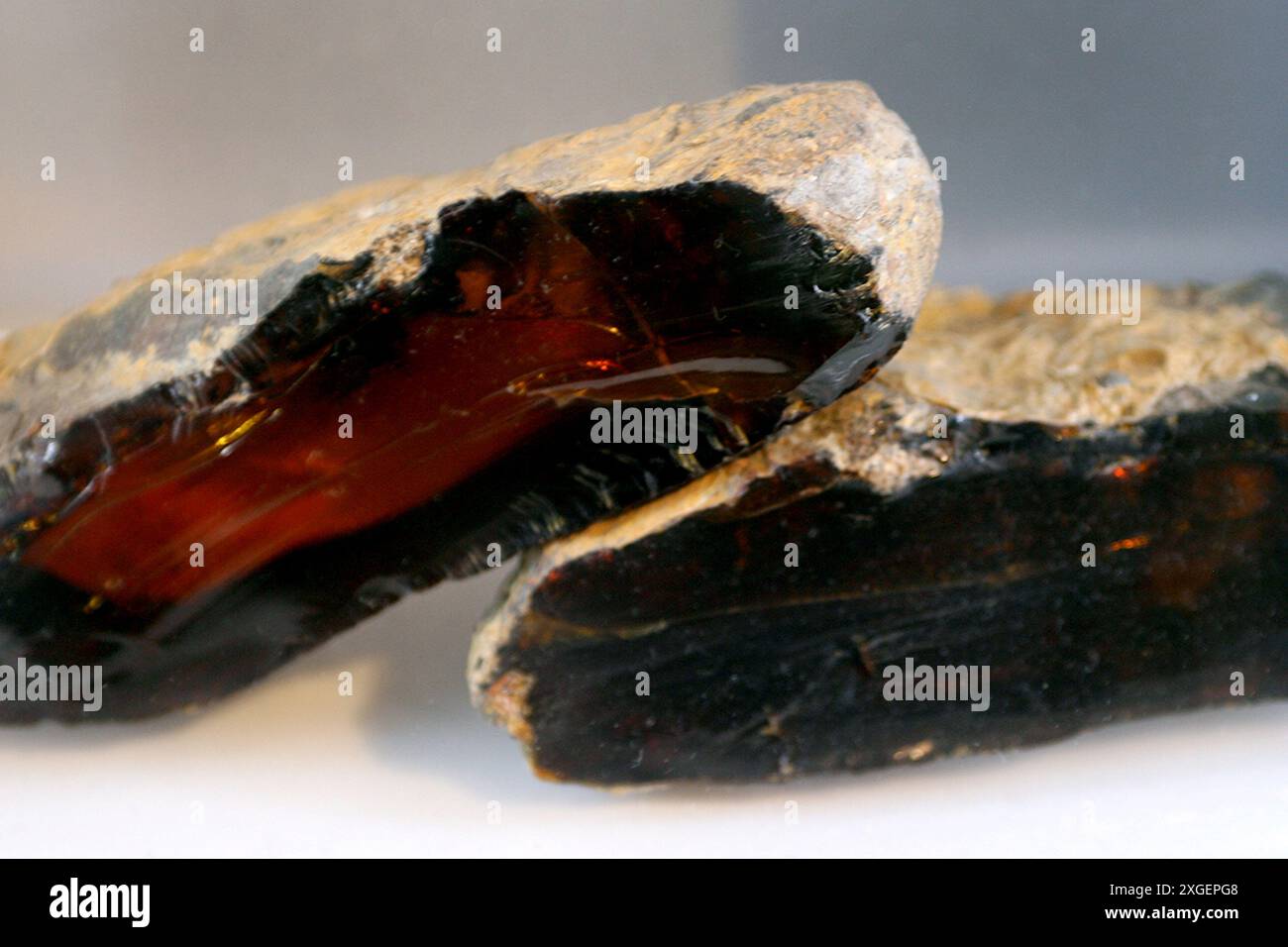 El ámbar es una resina vegetal fosilizada que proviene de la exudación ...