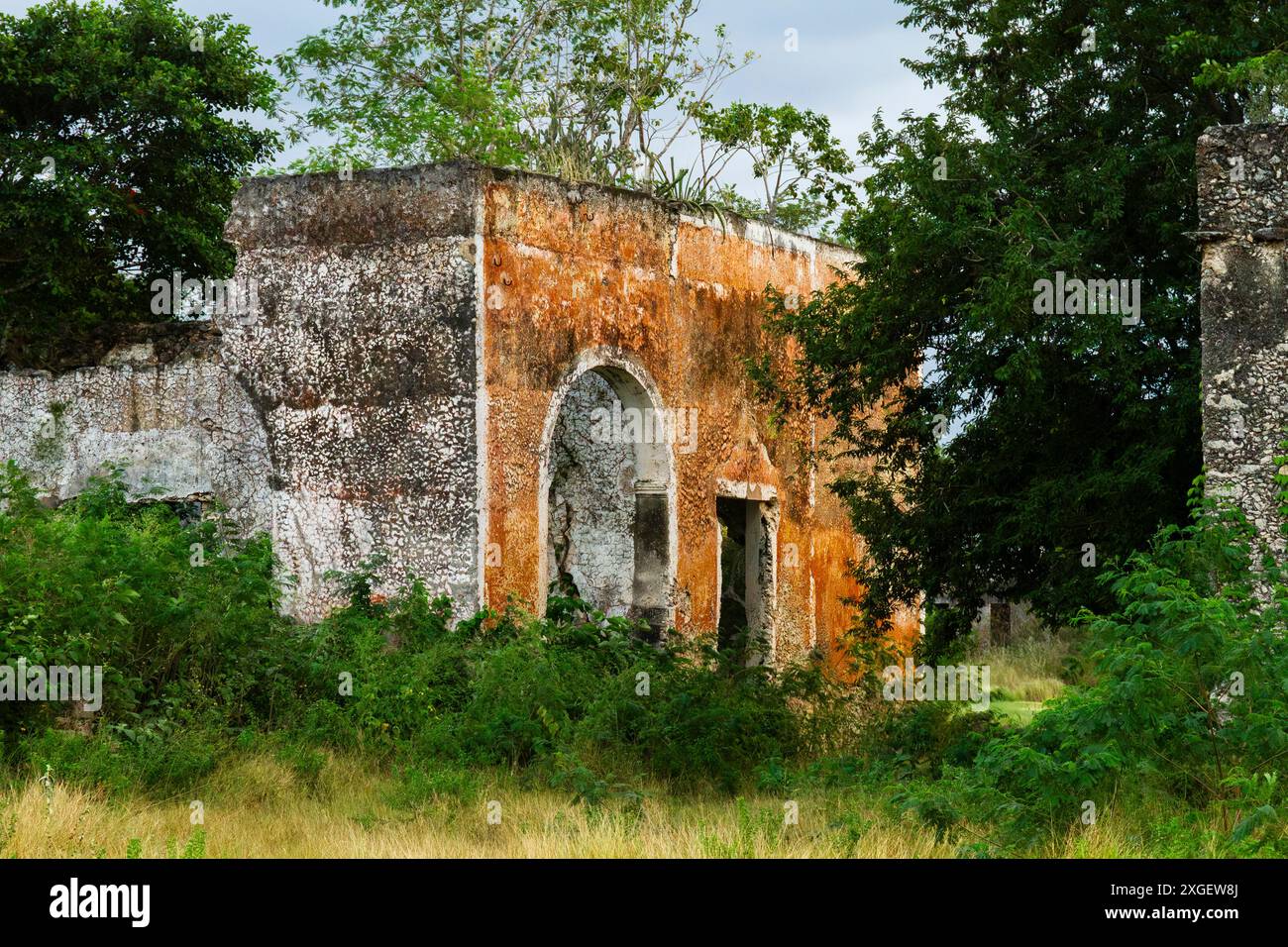 Colonial hacienda reclaimed by nature in Merida, Yucatan, Mexico Stock ...