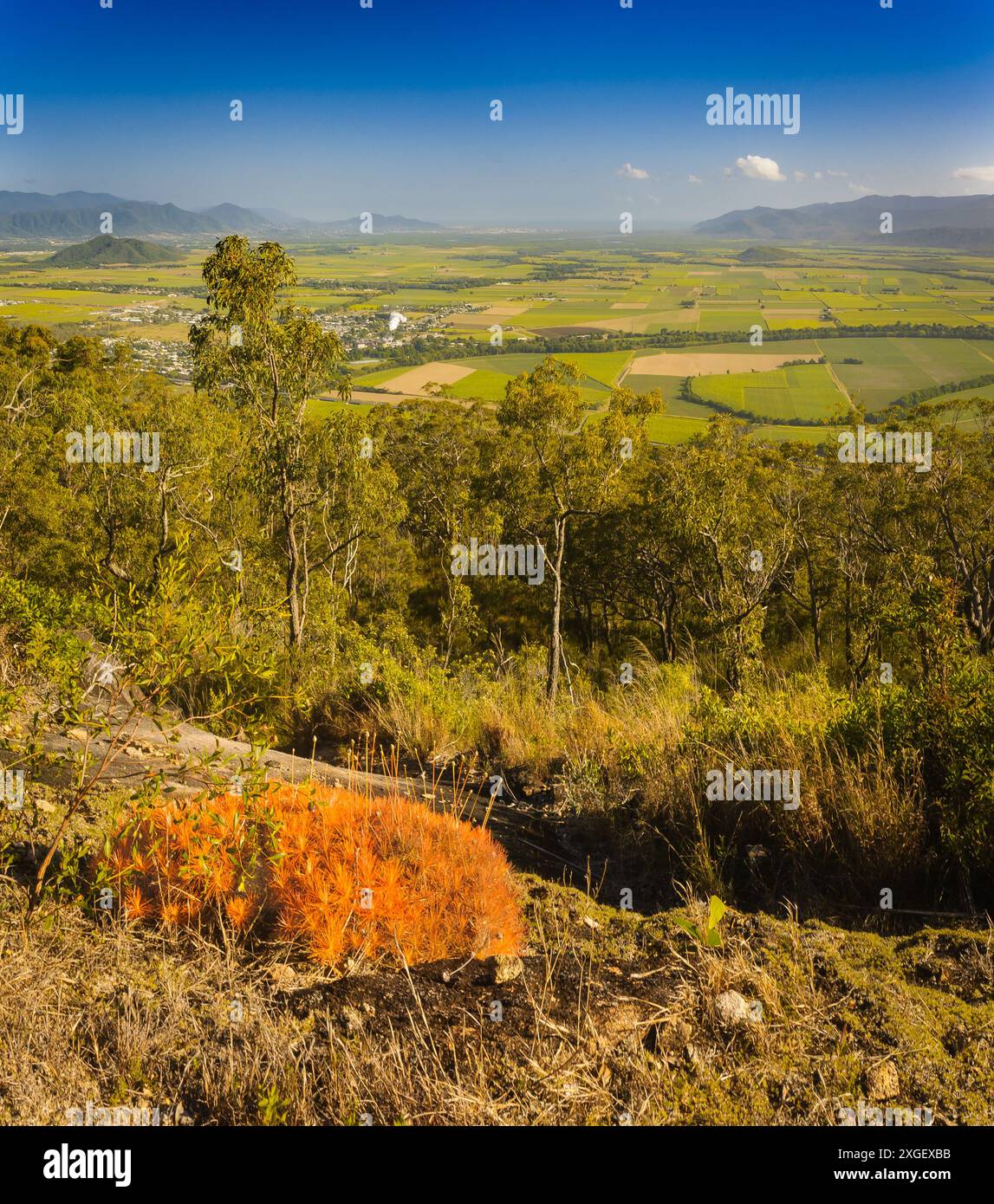 A spectacular high vantage point view, along the Pyramid Grade 5 hike ...