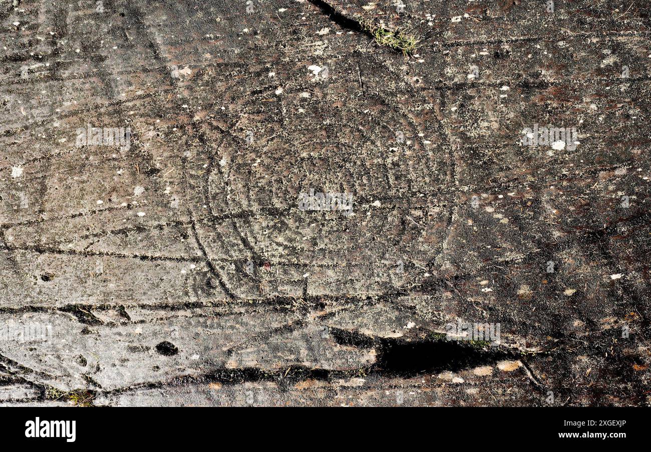 Cup and ring mark marks prehistoric Neolithic rock art on natural rock ...