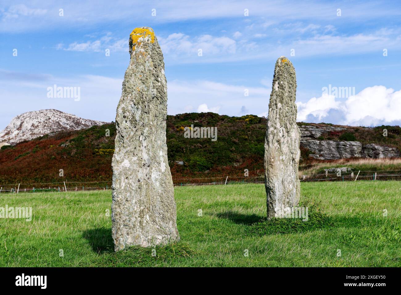 Penrhos Feilw prehistoric standing stone pair near Holyhead, Anglesey ...