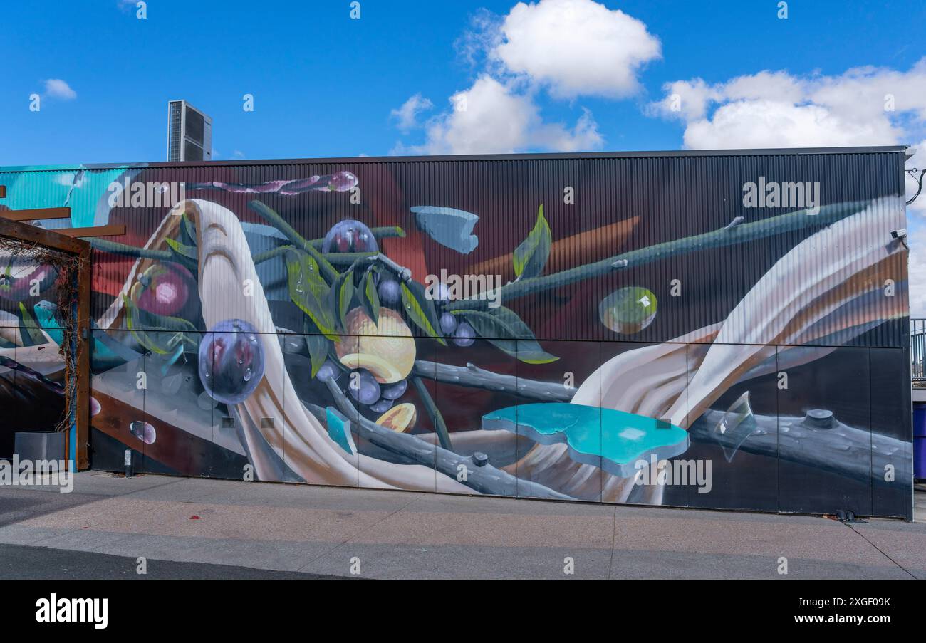 Street art mural in Fromes Lane, Stanthorpe, queensland, australia ...