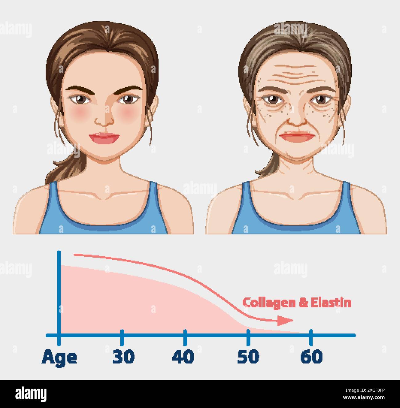 Effects of aging Stock Vector Images - Alamy