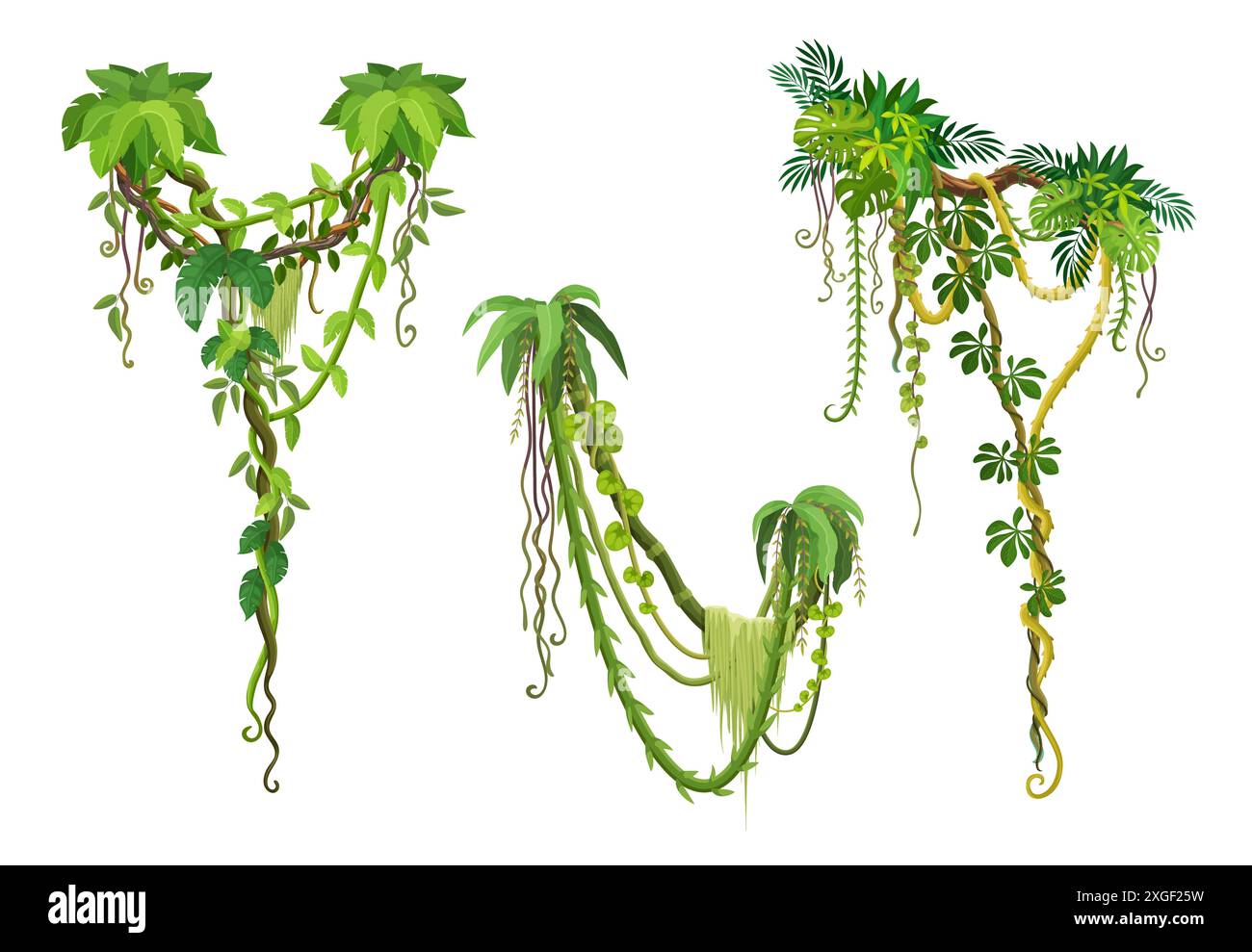 Jungle Vines Png Clipart Jungle Vines Stock Illustrations – 103