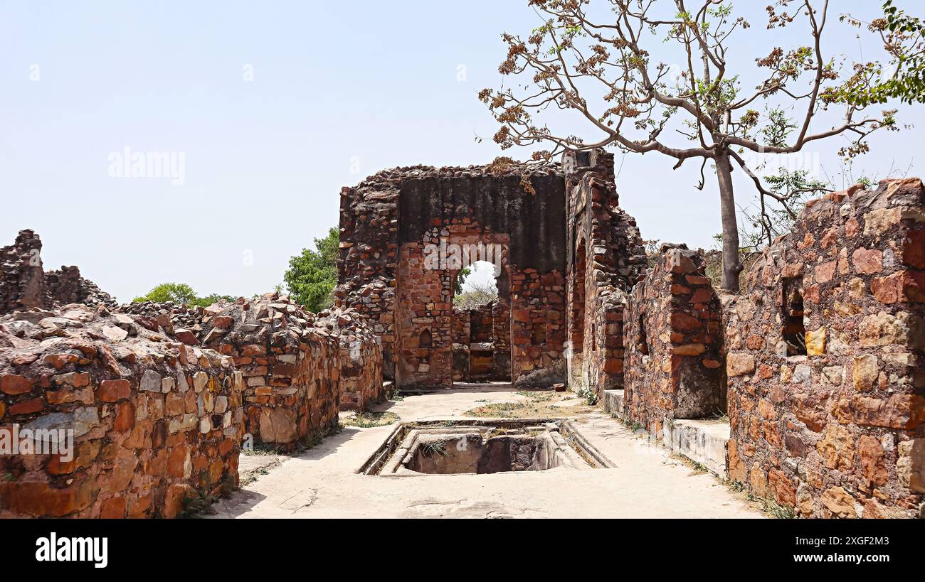 Ruined view of the fort's royal palace, a 14th-century Tughlaq Dynasty ...
