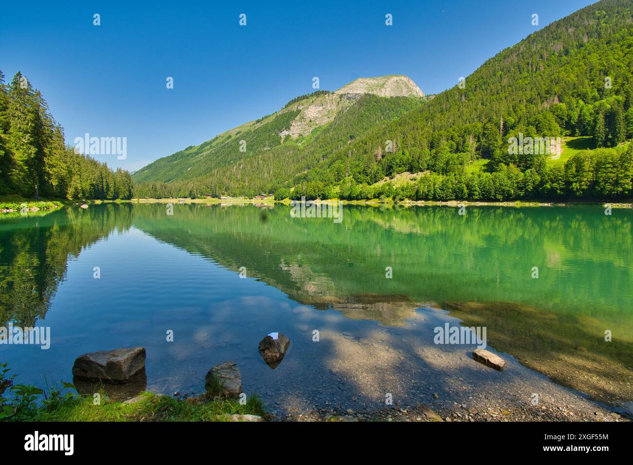 Lake Lac de Montriond in the french alps Stock Photo - Alamy