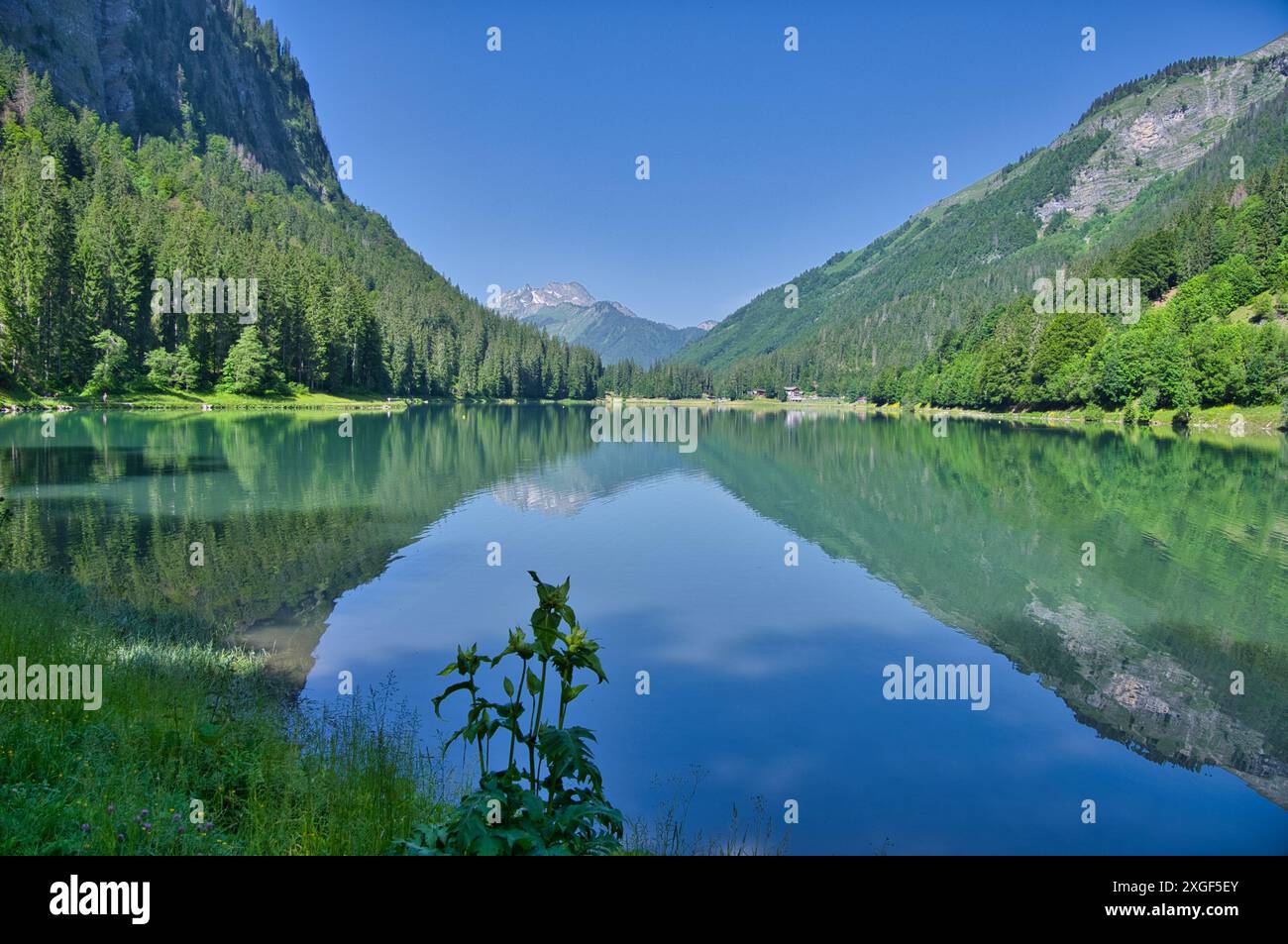 Lake lac de Montriond in the french alps Stock Photo - Alamy