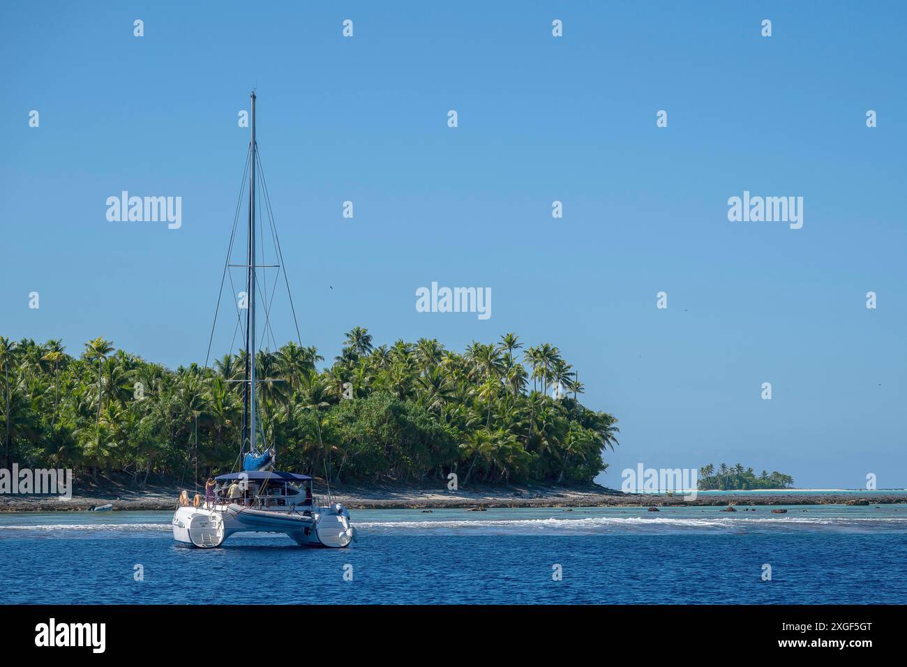 Excursion boat, sailing boat, catamaran, motu, coconut palm (Cocos ...