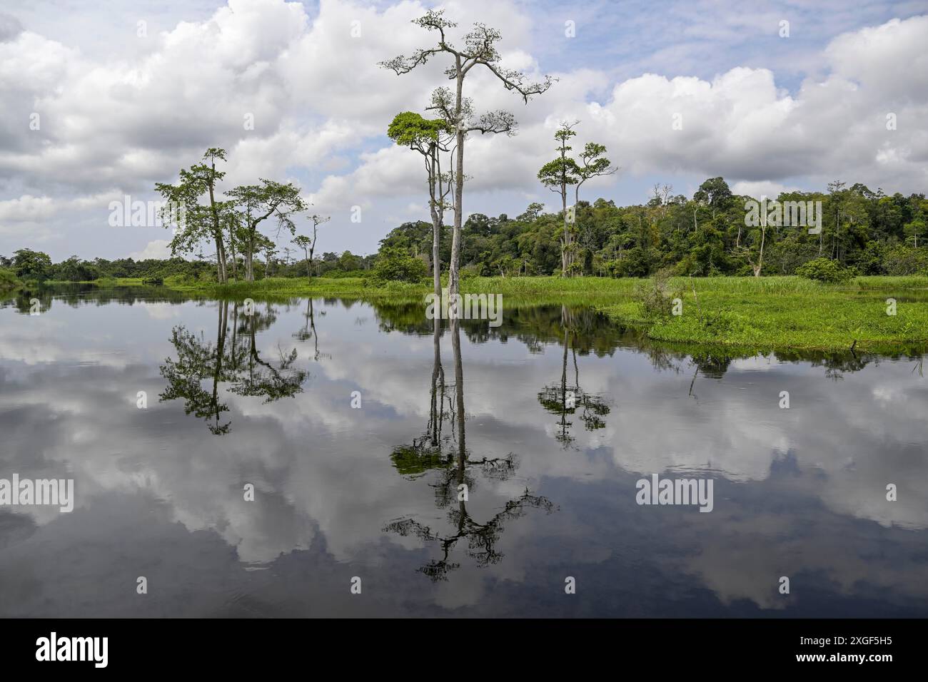 Waterscape on the Akaka River, Loango National Park, Parc National de ...