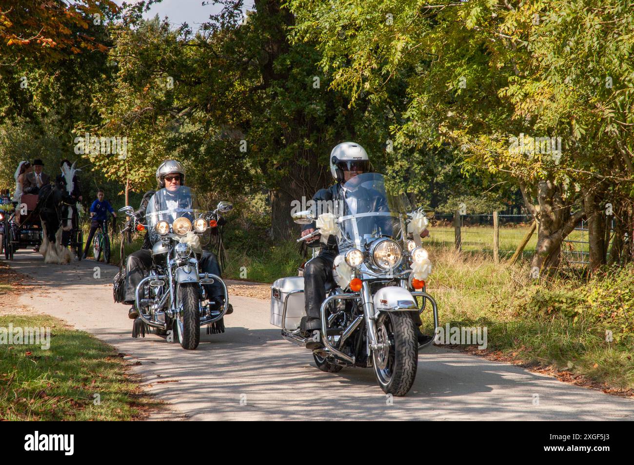 Harley Davidson motorcycles with wedding ribbons Stock Photo - Alamy