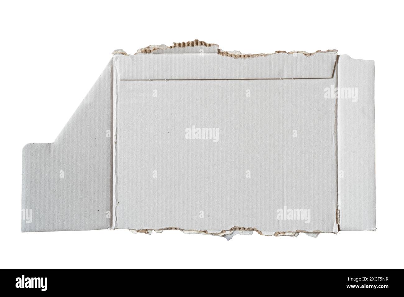 Torn white cardboard paper box packaging on white background with ...