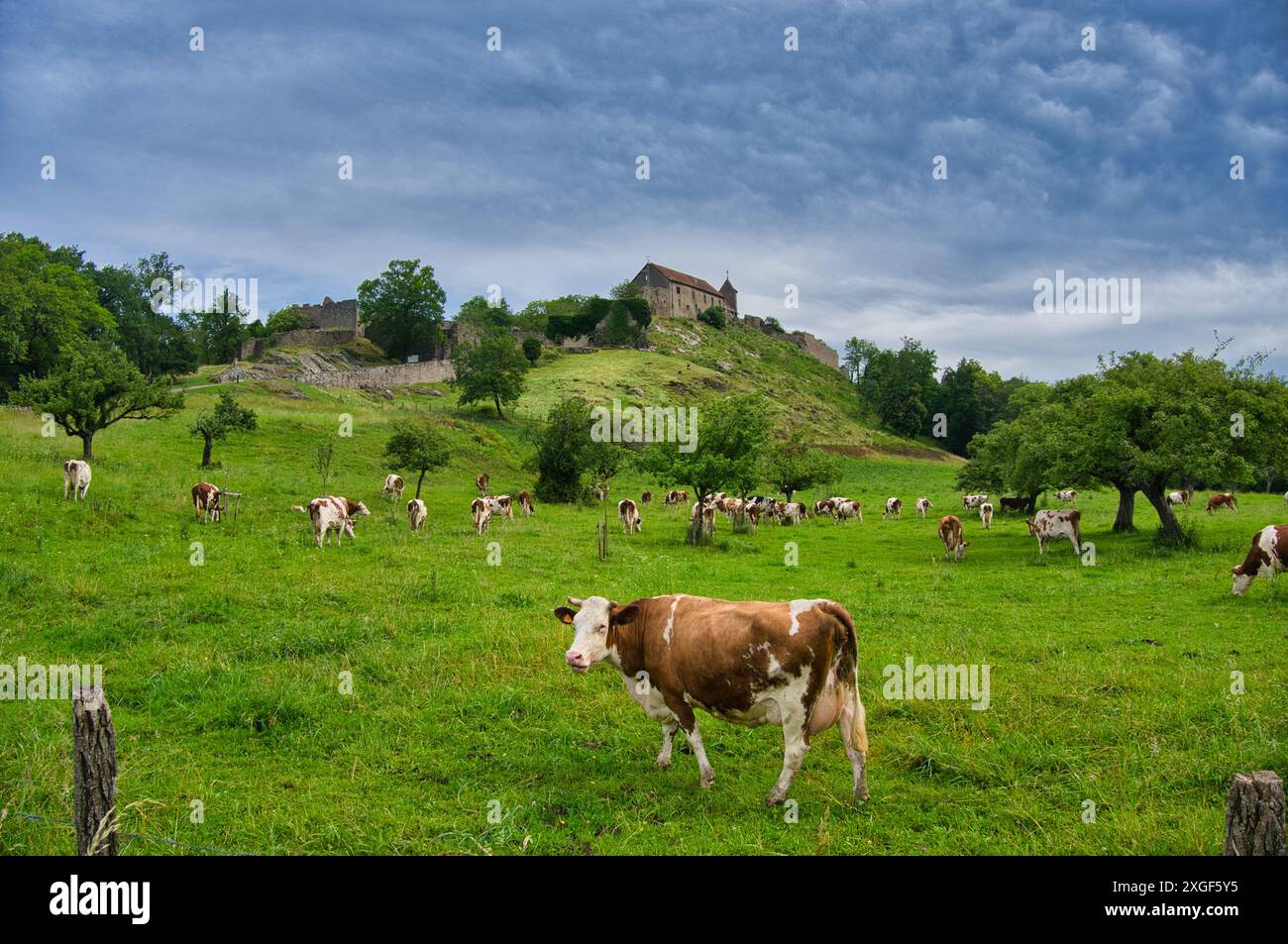 Castle ruin chateau des Allinges in the French alps Stock Photo - Alamy