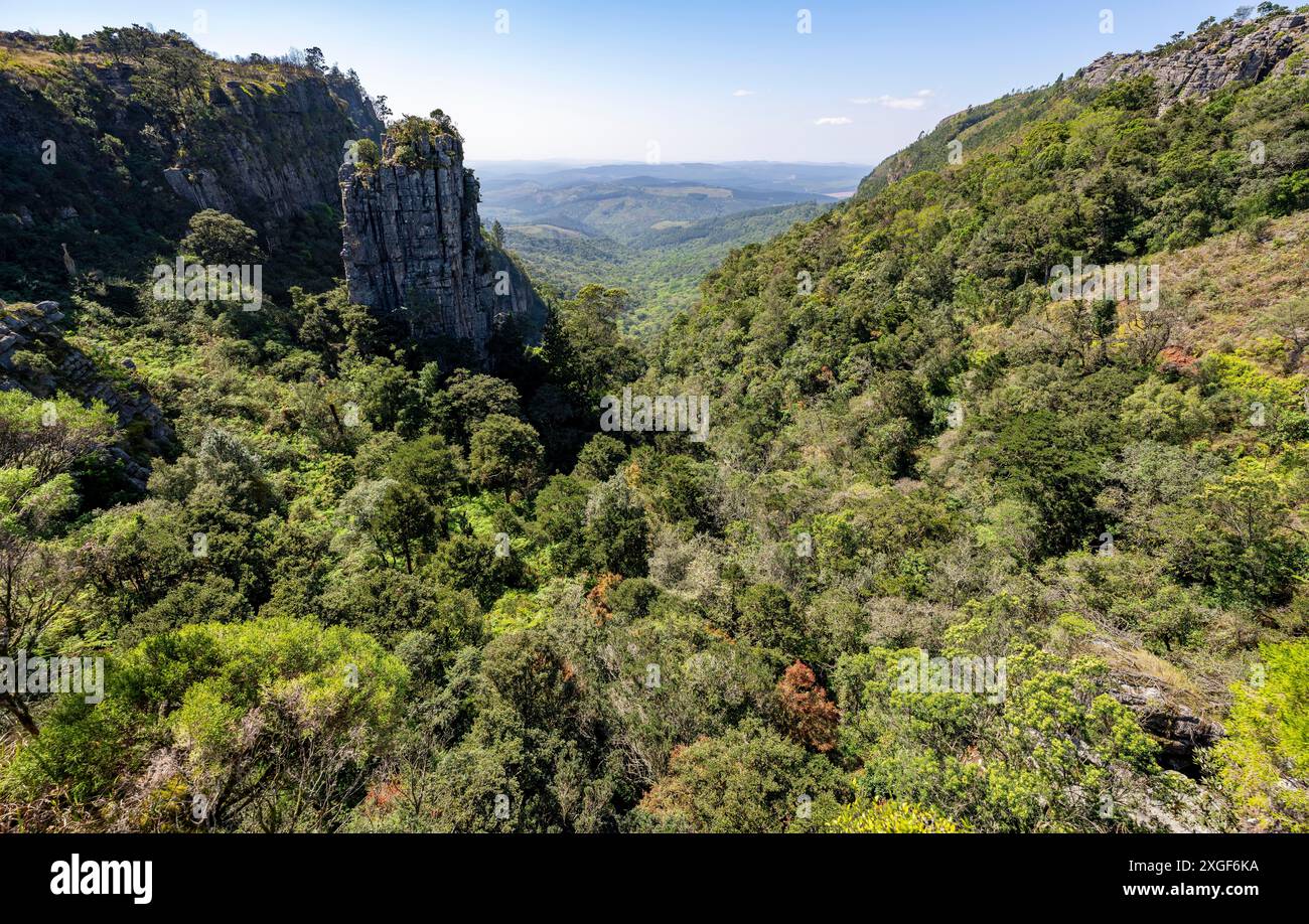 Rock needle in a densely forested canyon, Pinnacle Rock, view over ...