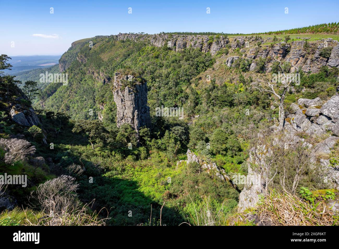 Rock needle in a densely forested canyon, Pinnacle Rock, view over ...