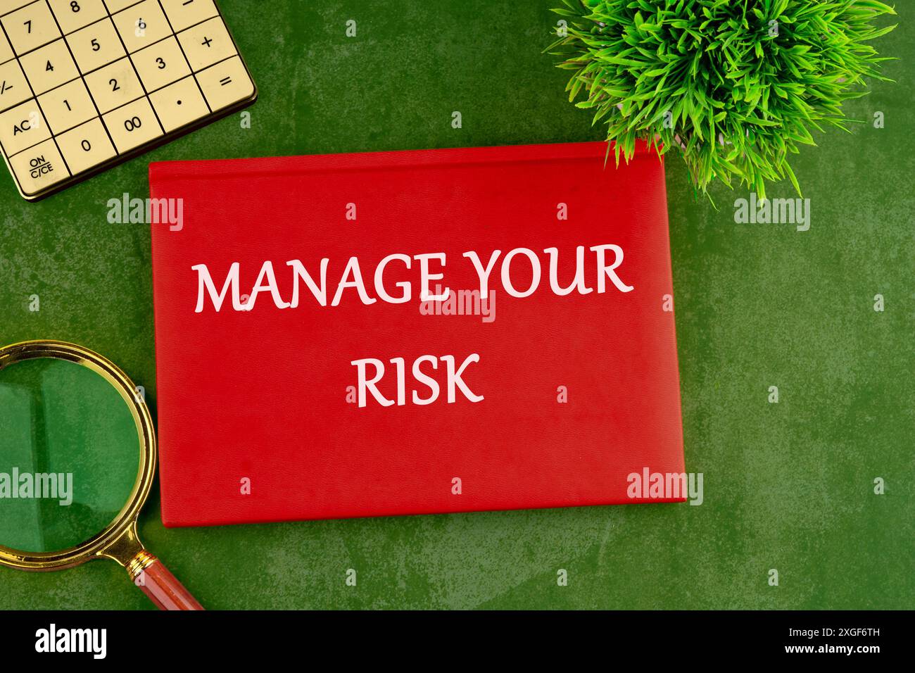 Manage your Risks symbol. Concept words Manage your Risks on a red ...