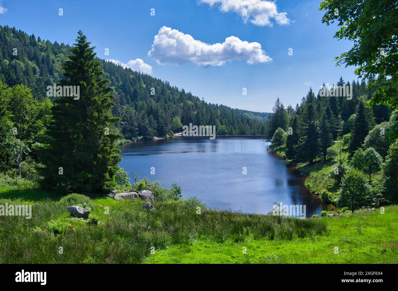 Landscape in the Vosges mountains in France in Alsace Stock Photo - Alamy