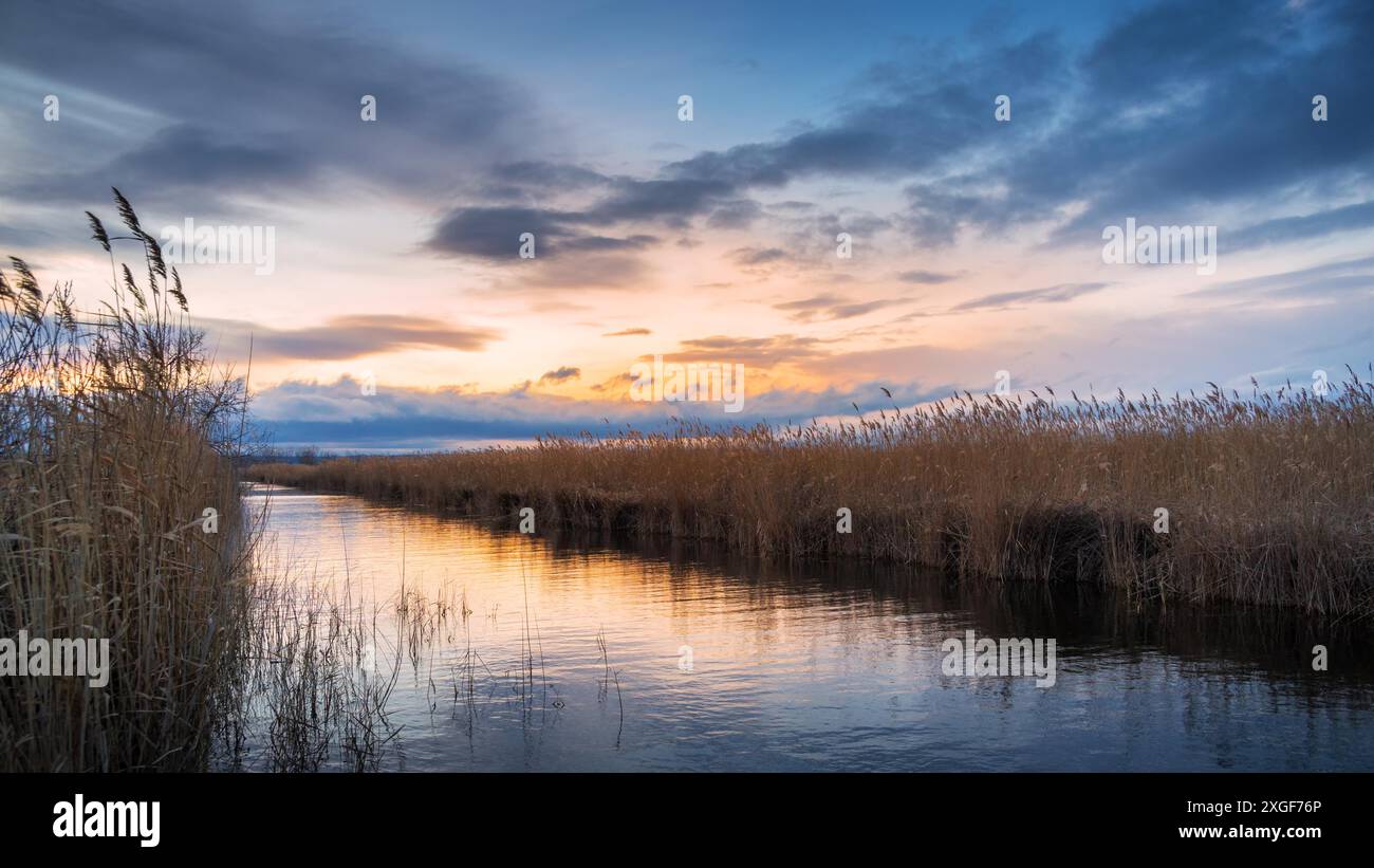 Dramatic sunset on a canal at lake Neusiedlersee with reeds on the ...