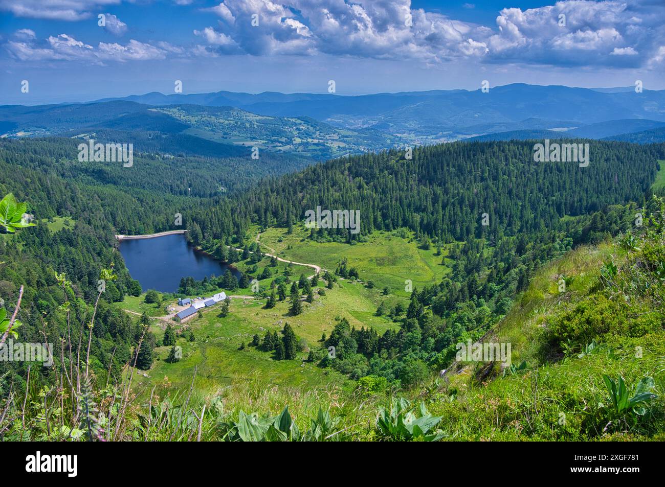 Landscape in the Vosges mountains in France in Alsace Stock Photo - Alamy