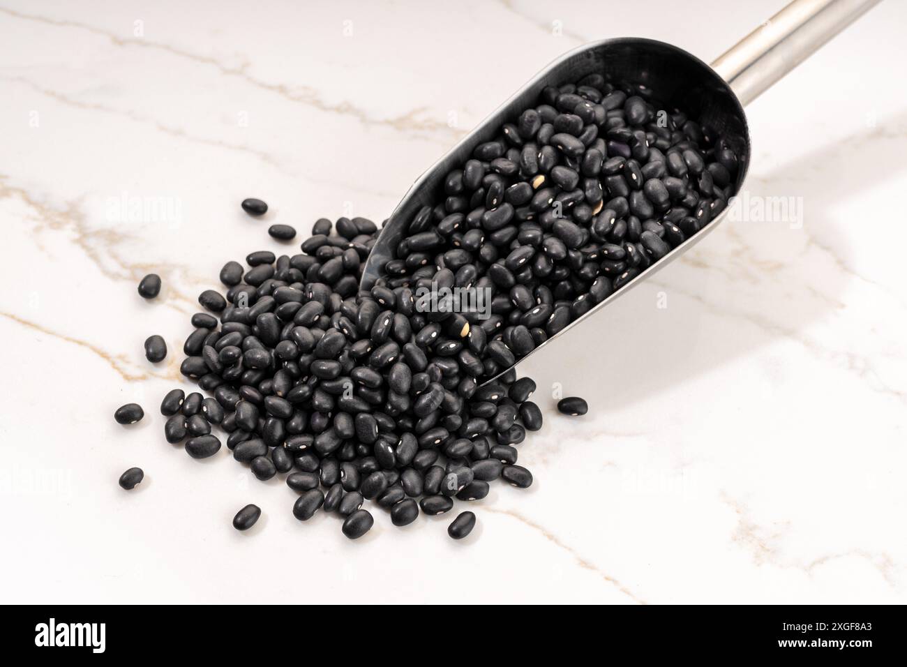 Uncooked Black turtle bean or frijoles on metallic scoop on white ...