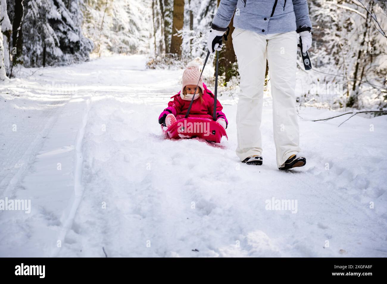 Mother pulling baby on a sled through winter forest. Snowy woods theme ...