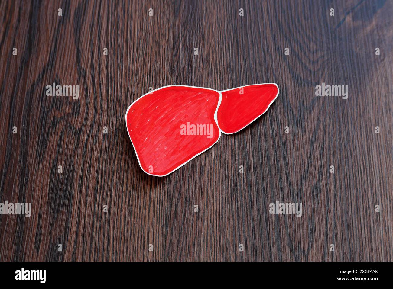 Human liver on table hi-res stock photography and images - Alamy