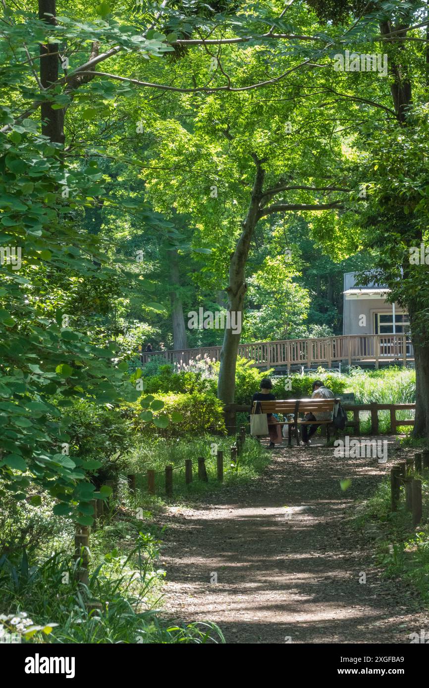 Diverse path hi-res stock photography and images - Alamy