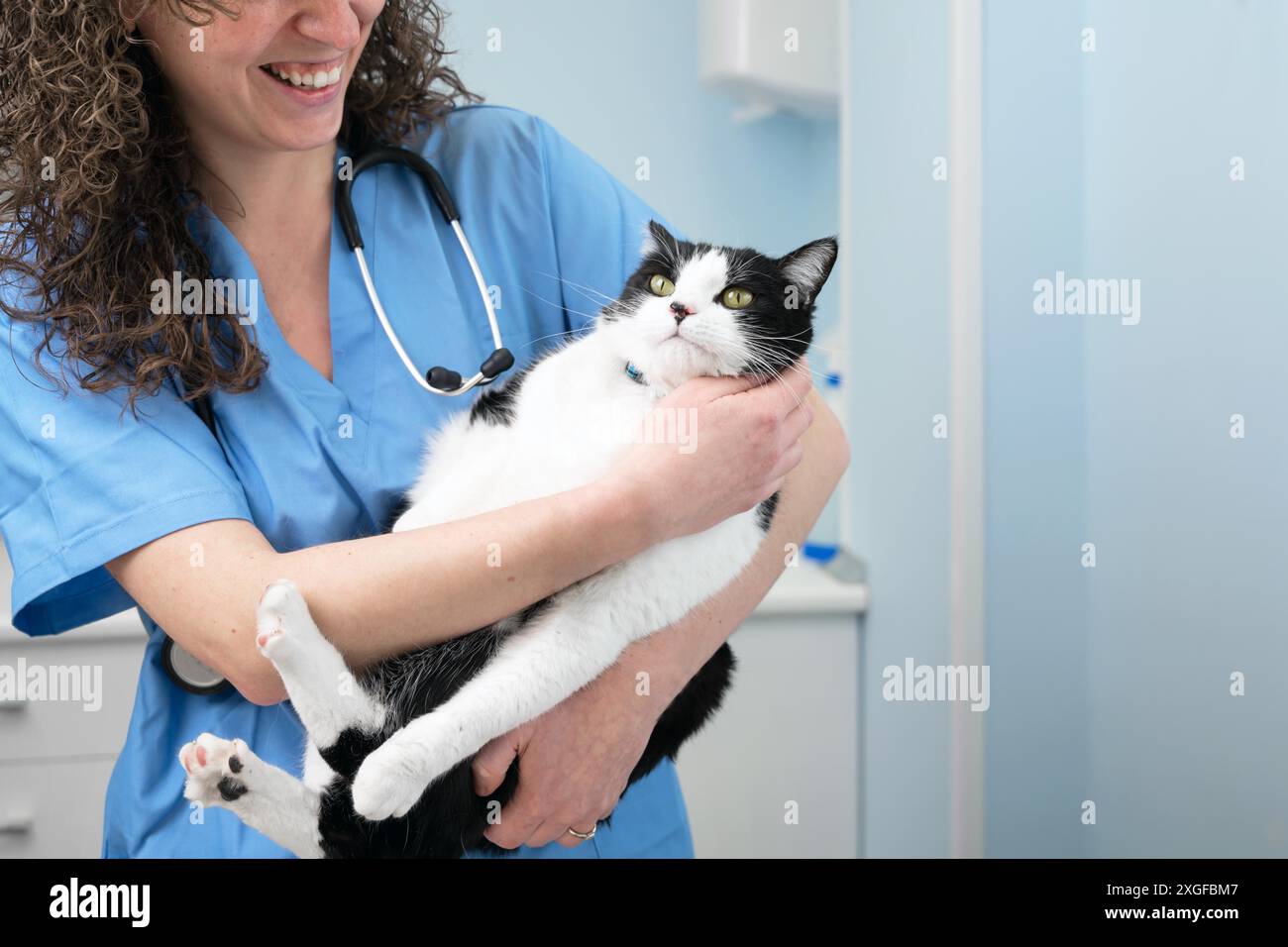 Beautiful female vet doctor hi-res stock photography and images - Alamy
