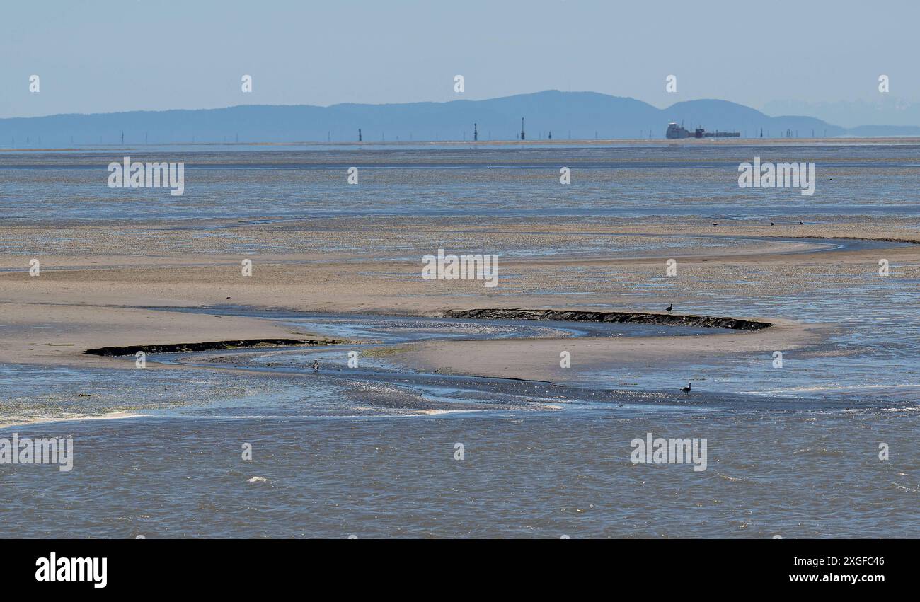 Vancouver CAN, Kanada / Canada, Urlaubseindruecke und ...