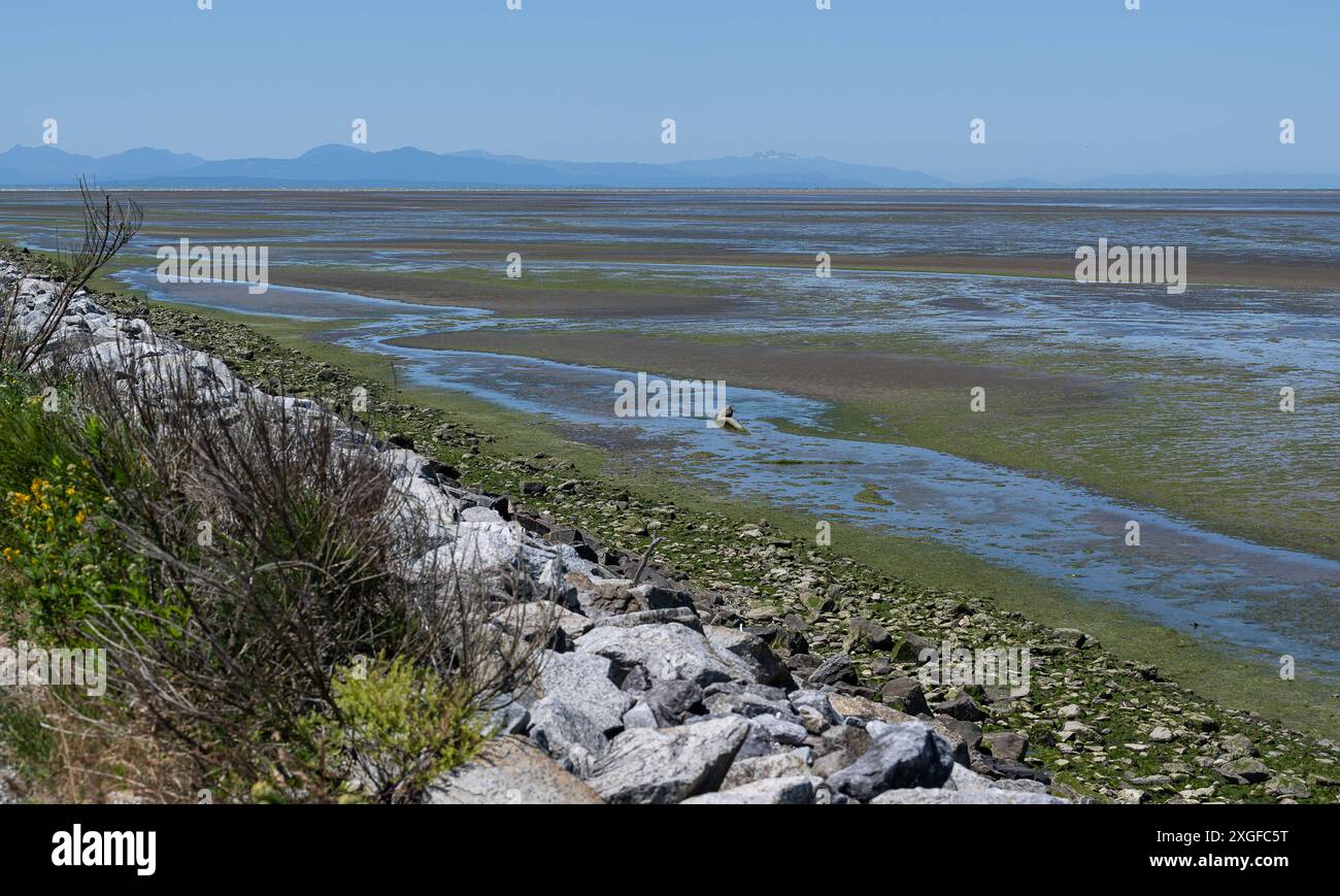 Vancouver CAN, Kanada / Canada, Urlaubseindruecke und ...